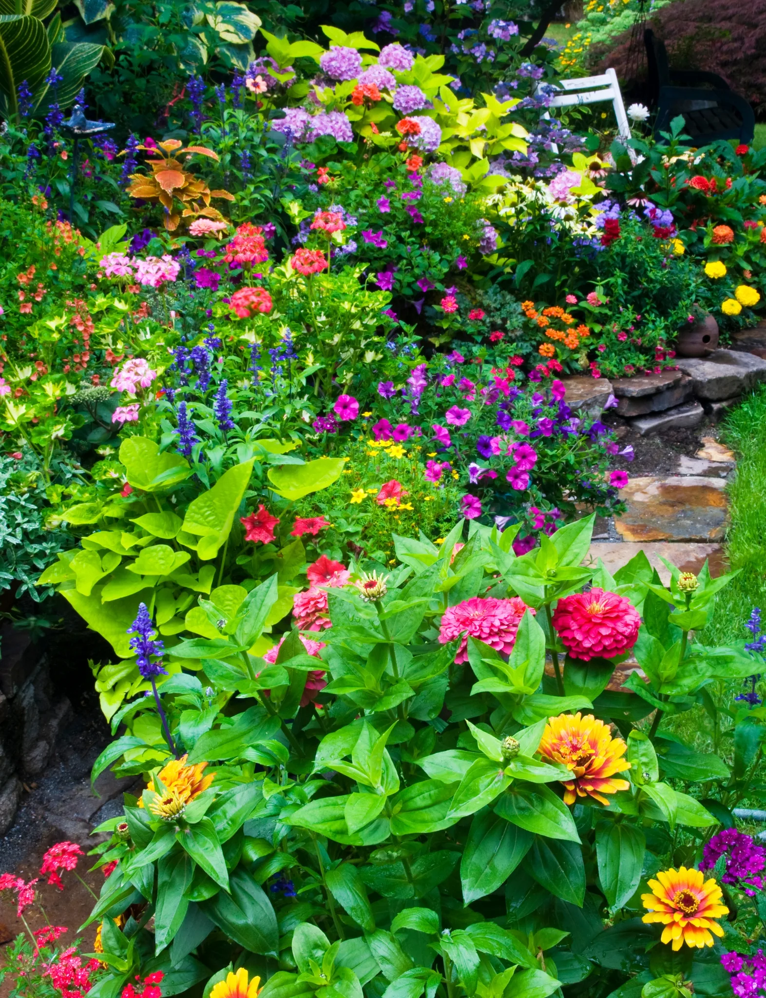 What to do in your garden over summer