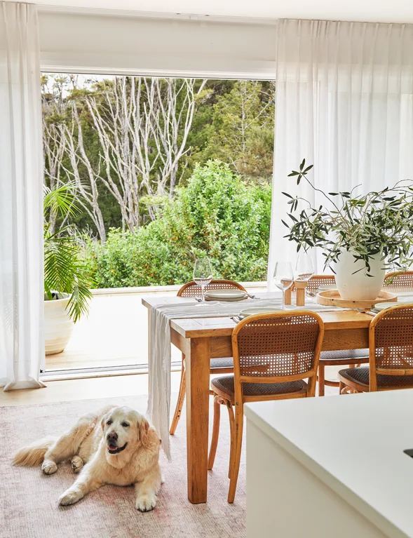 An Auckland farmhouse shares hints of Mediterranean tranquility