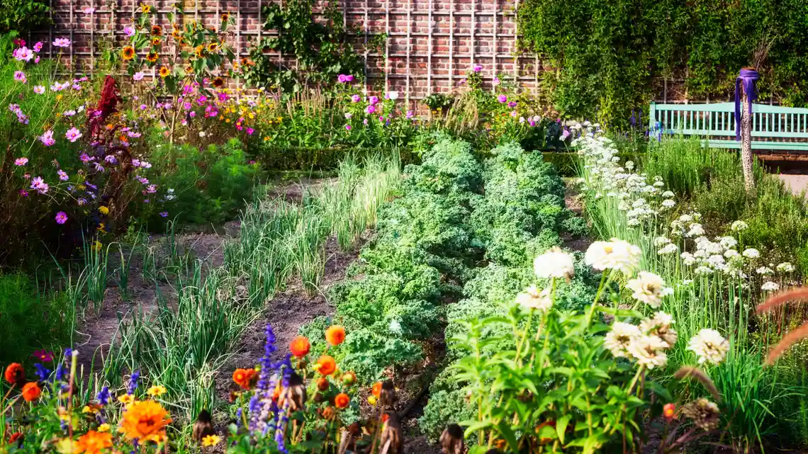 This coastal garden features a raised vegetable patch