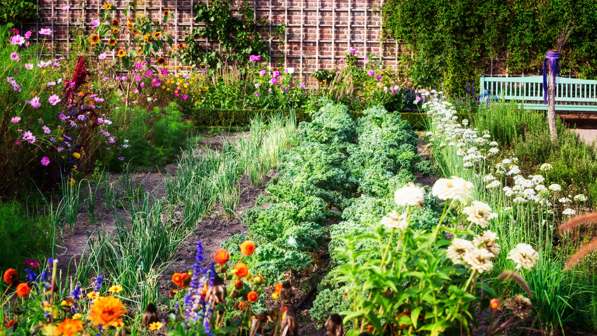What you should be planting in your winter vegetable garden
