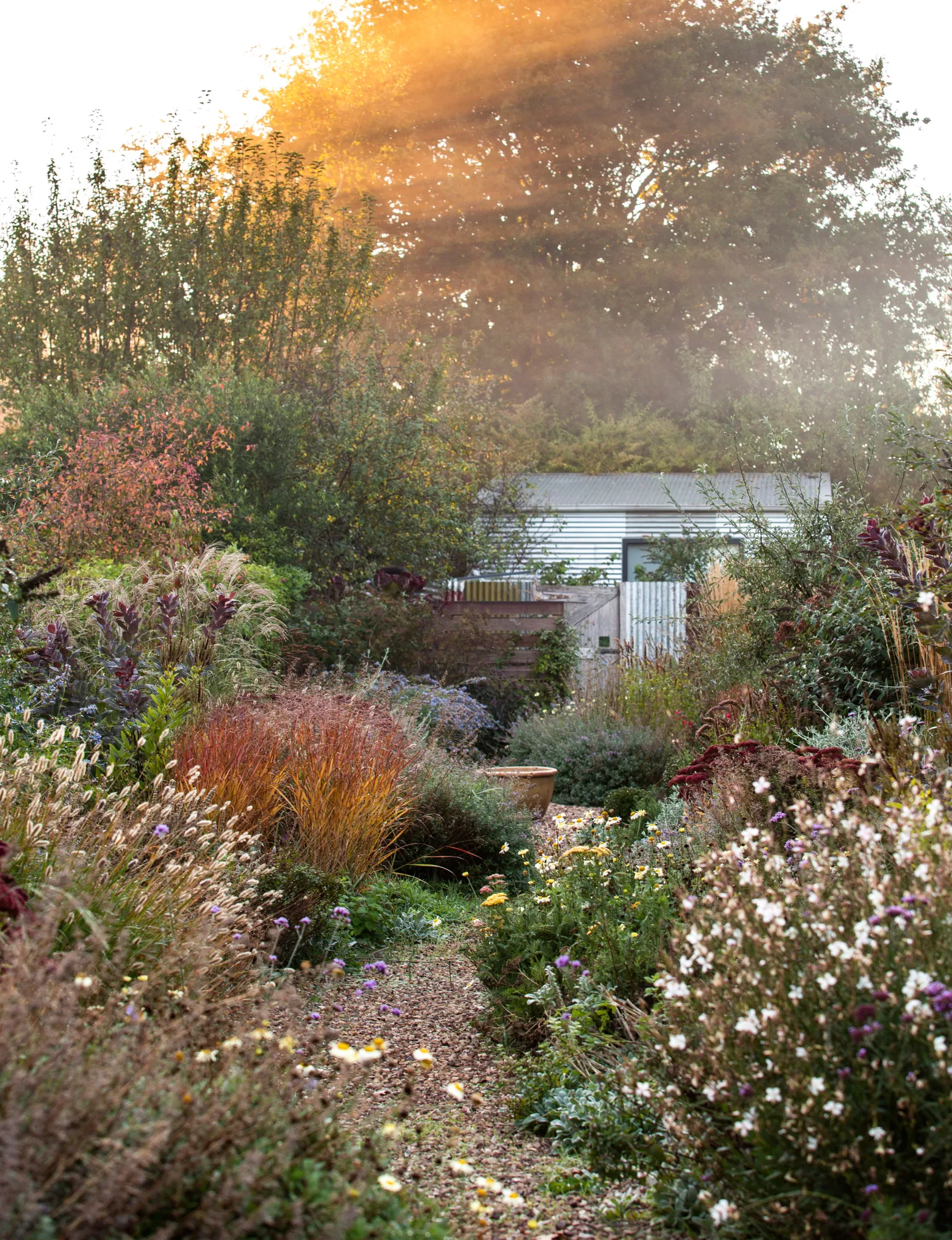 14 plants with show-stopping white flowers to plant in your garden