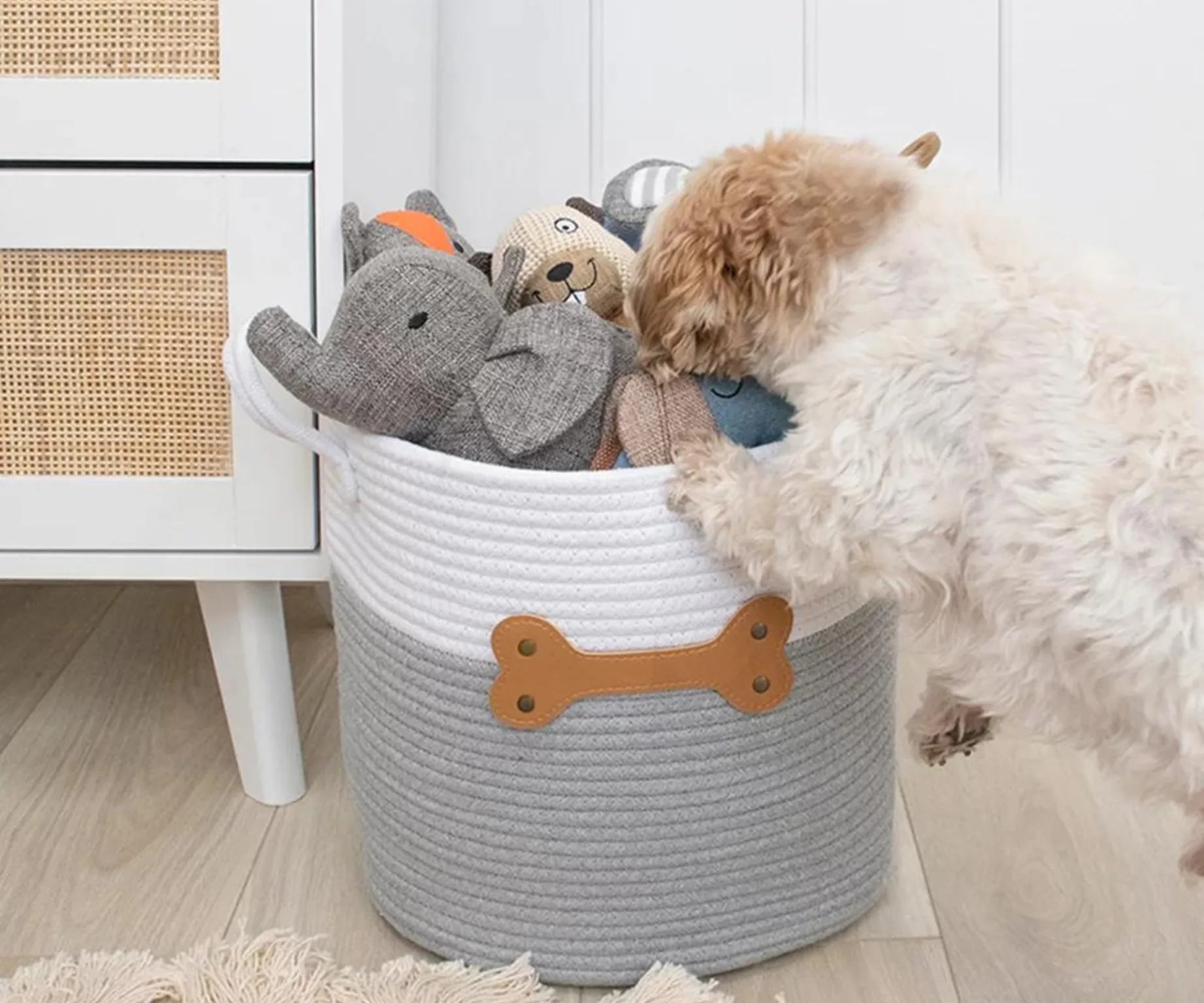 These pet accessories are so glam, your fur baby will be proud