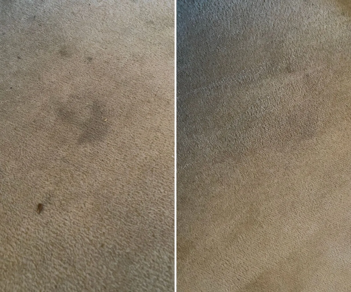 Tried and tested: The Shark StainStriker is a mess-maker's dream