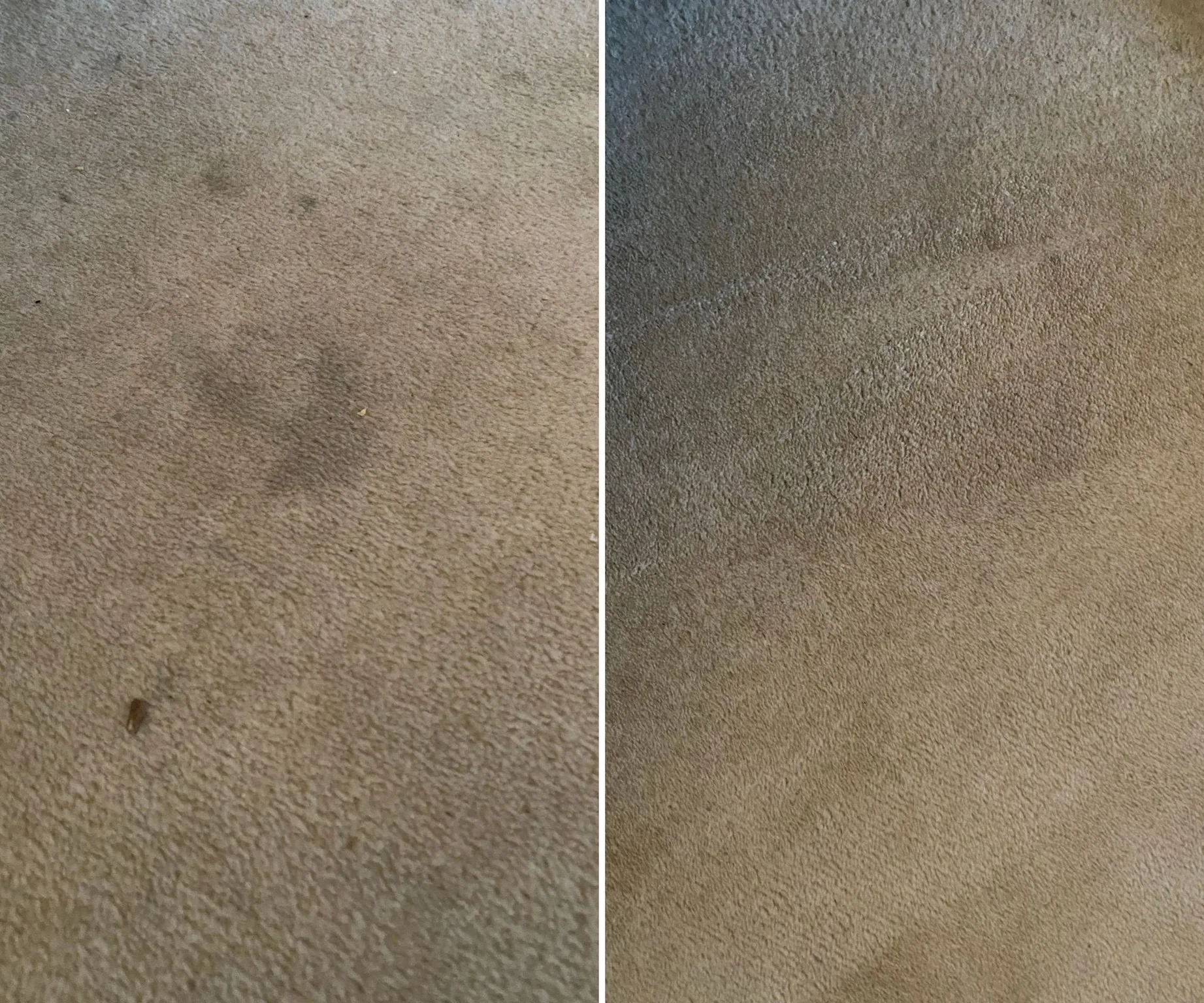 Tried and tested: The Shark StainStriker is a mess-maker's dream