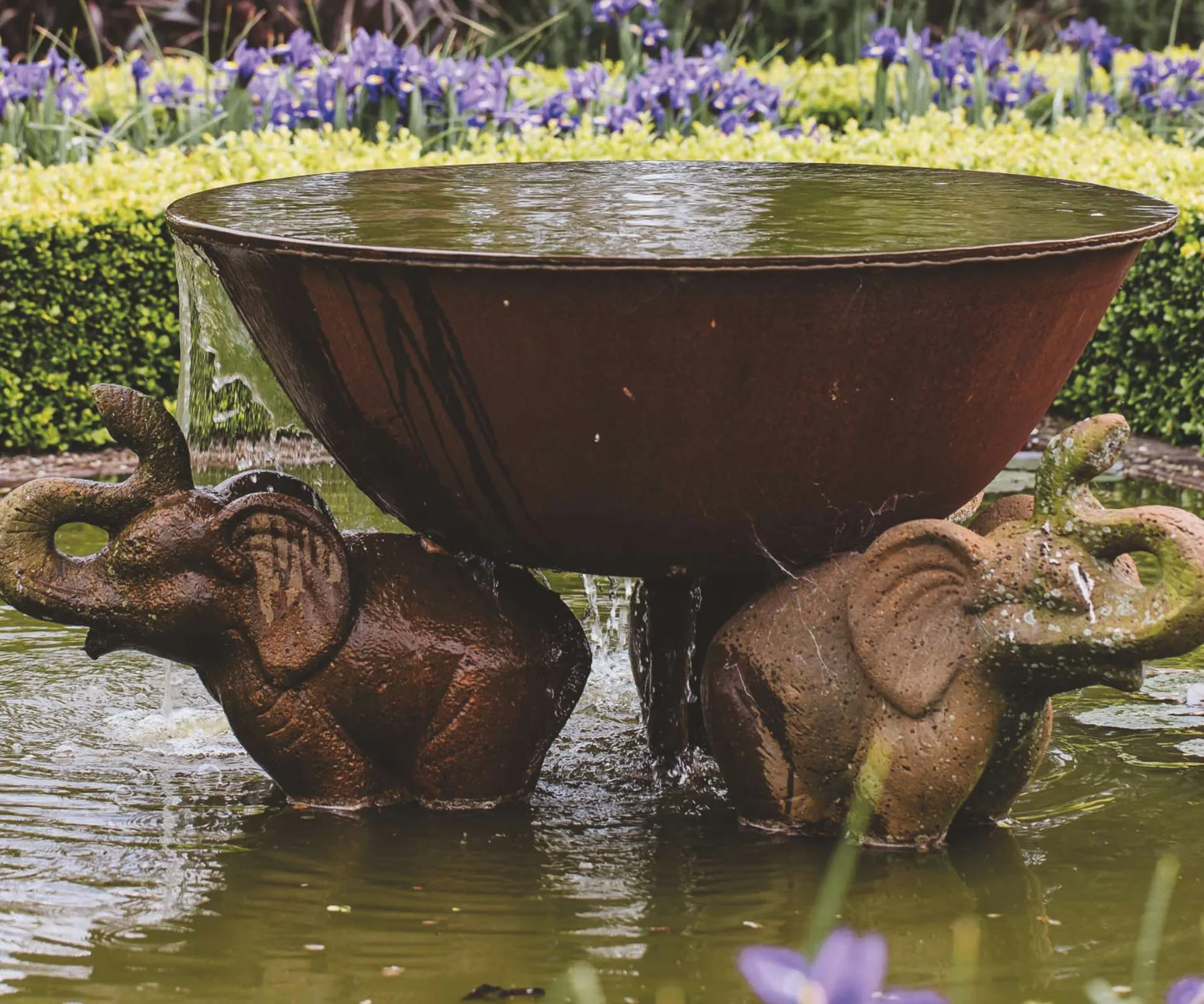 How landscape designer Michael Mansvelt transformed this garden