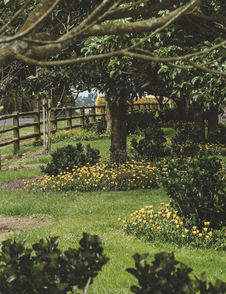 How landscape designer Michael Mansvelt transformed this garden