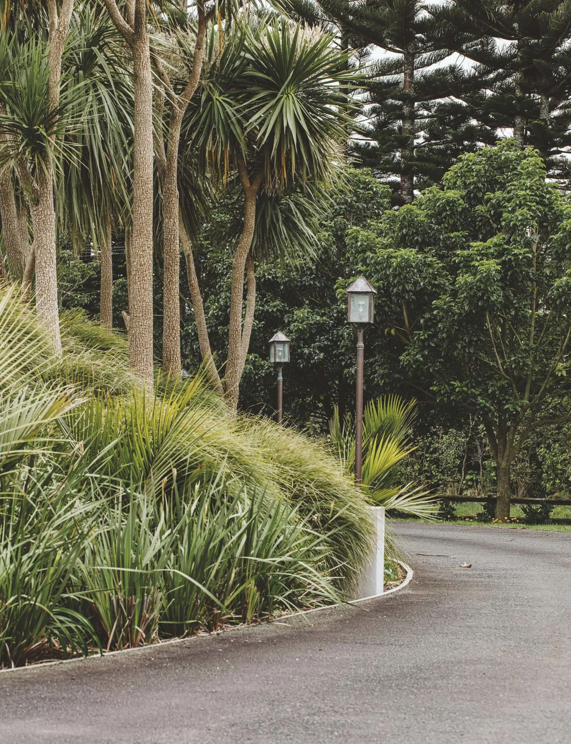 How landscape designer Michael Mansvelt transformed this garden