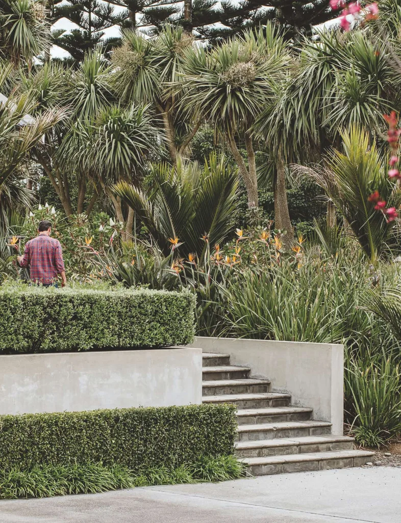 How landscape designer Michael Mansvelt transformed this garden