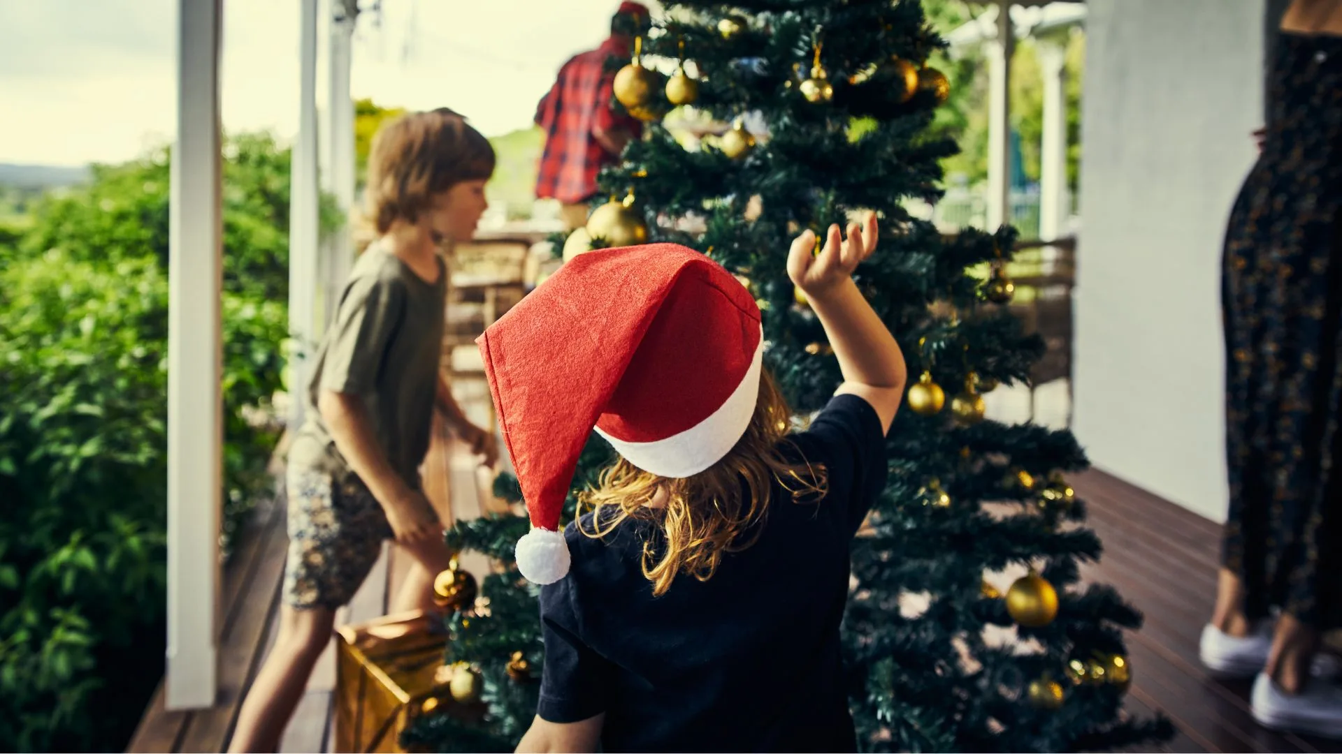 Where to buy the best real Christmas tree in Auckland, NZ