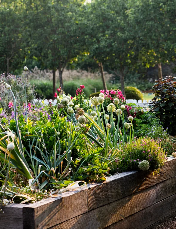 Absolutely everything to know about raised garden beds