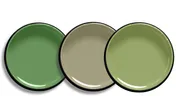 This homeowner uses a mid-toned green paint to refresh bathroom