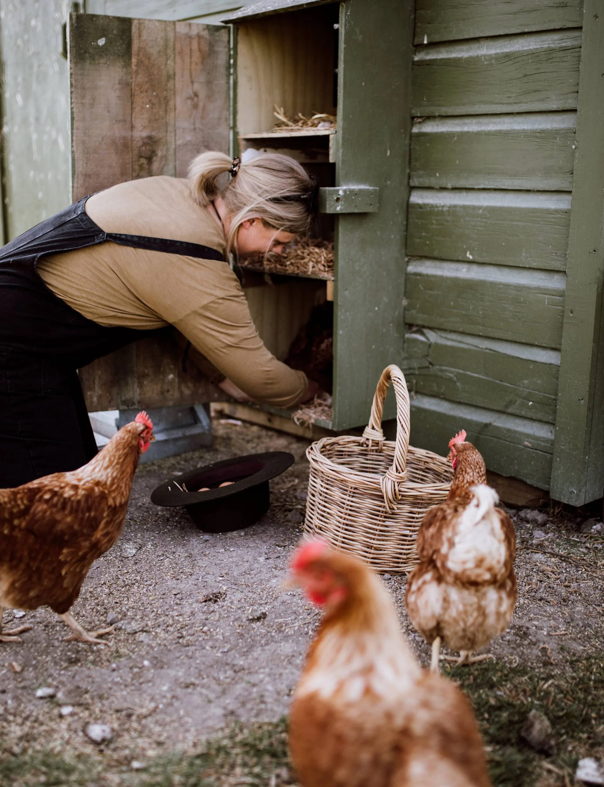 Gillian Swinton discusses her self-sufficient life on the farm