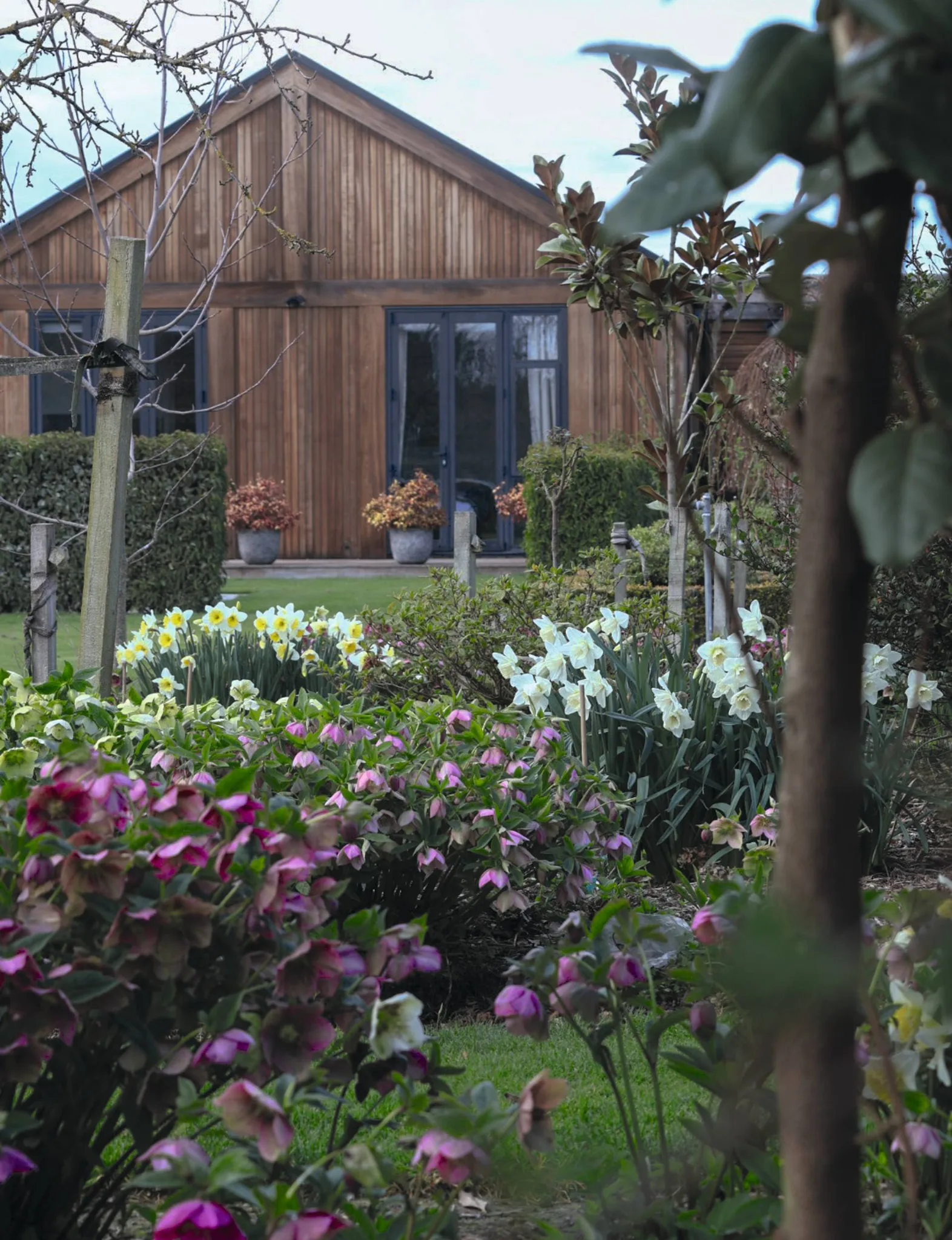 Floral stylist Kate Williams shares her blooming garden & journey