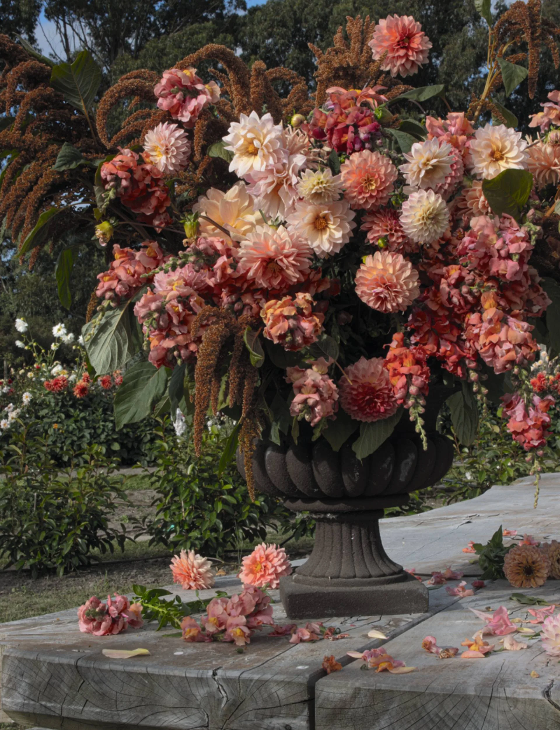 Floral stylist Kate Williams shares her blooming garden & journey