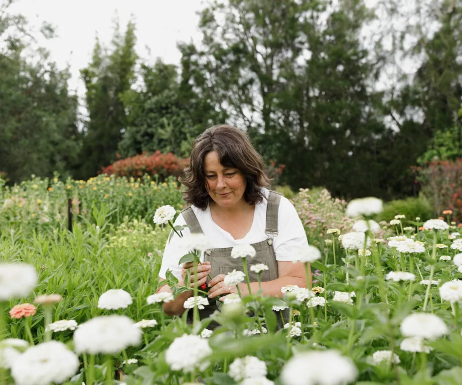 Lisa Bindon: Sustainable flower farmer on the Matakana Coast