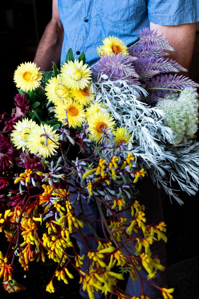 An award-winning wondrous Australian wildflower farm