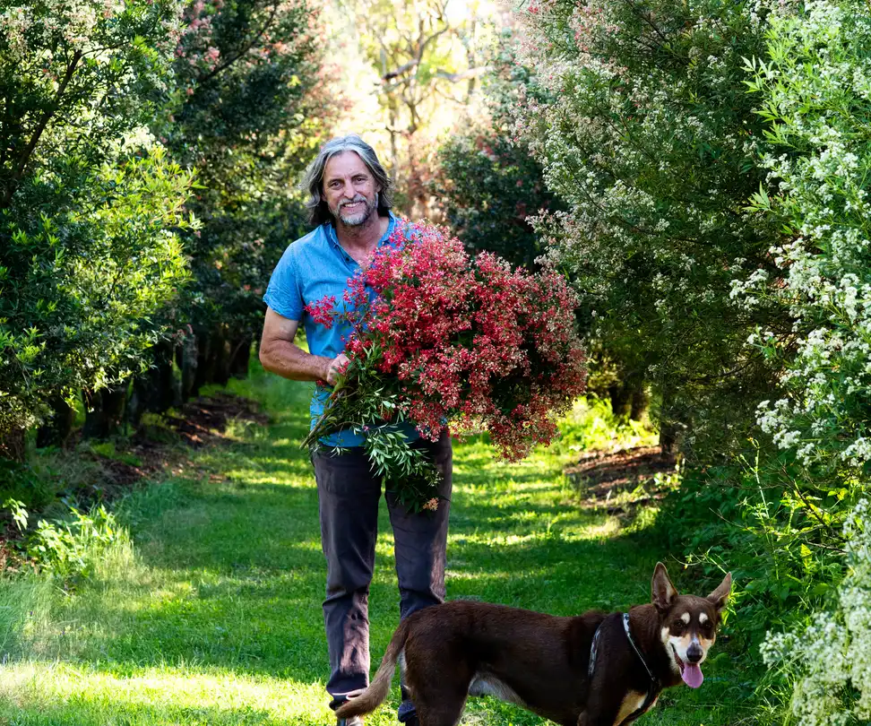 An award-winning wondrous Australian wildflower farm