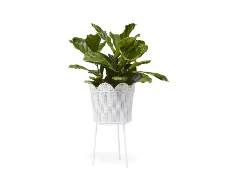 10 of the best pots and plant stands at Kmart | Home Beautiful