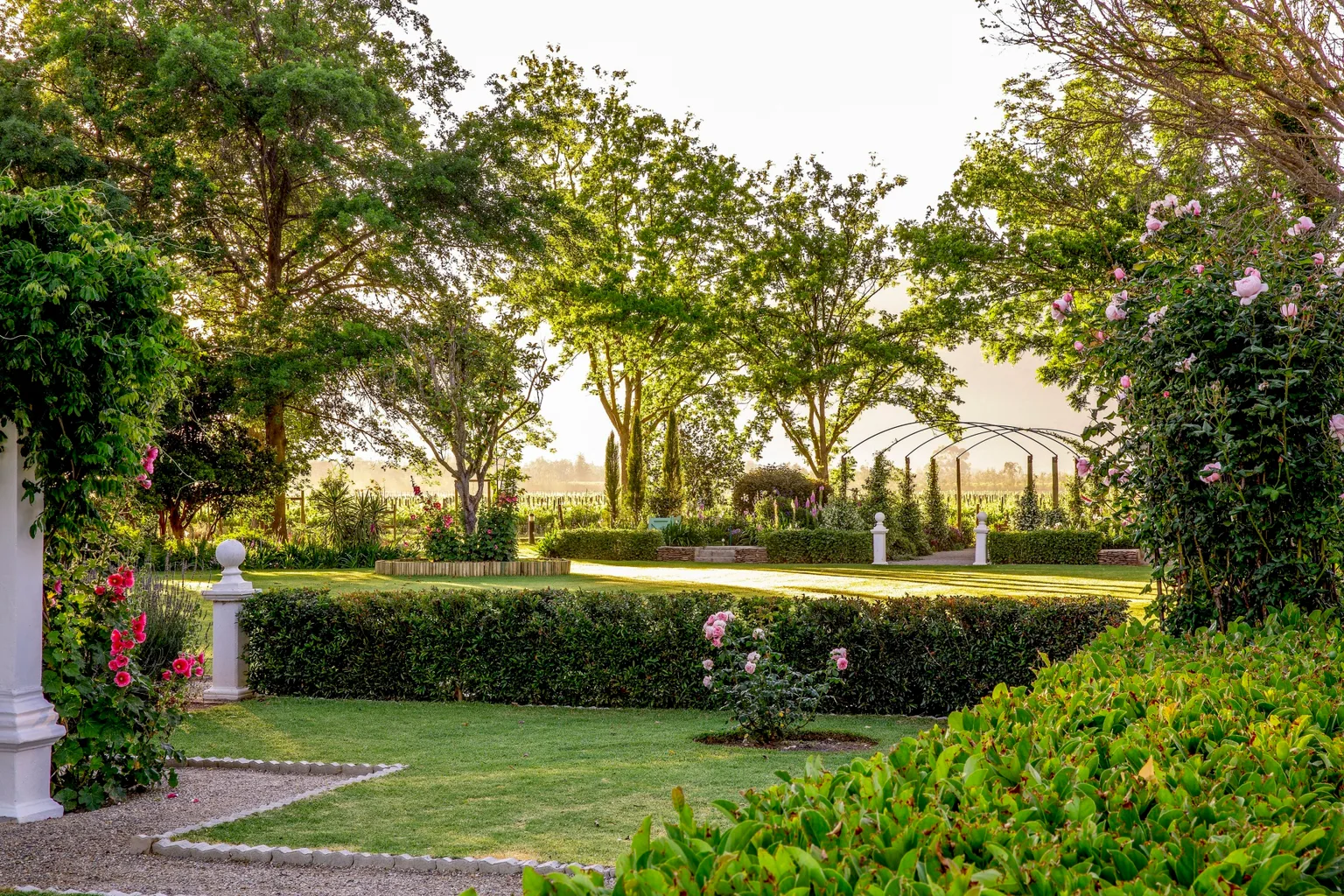 South African Country Garden Among Vineyards