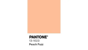 Pantone’s 2024 Colour of the Year Is Peach Fuzz