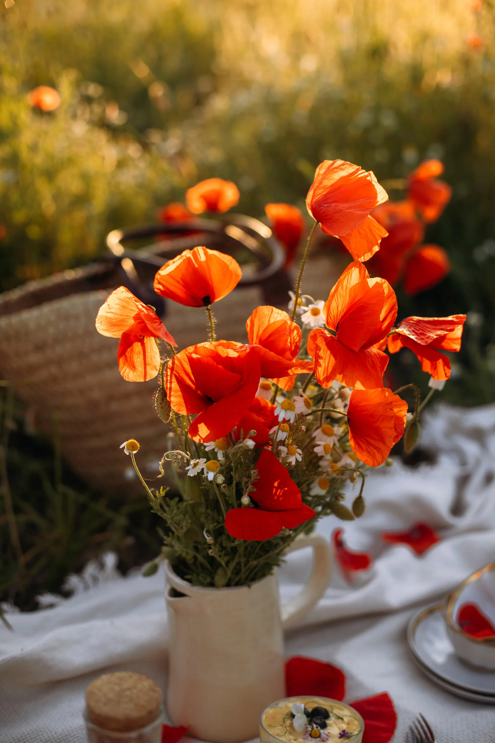 Growing Poppies: A Guide to Growing Symbolic Blooms
