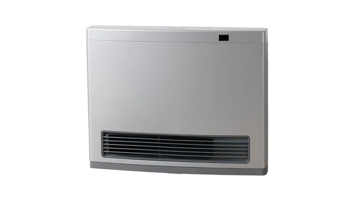 5 Gas Heaters To Beat The Winter Chill 2024