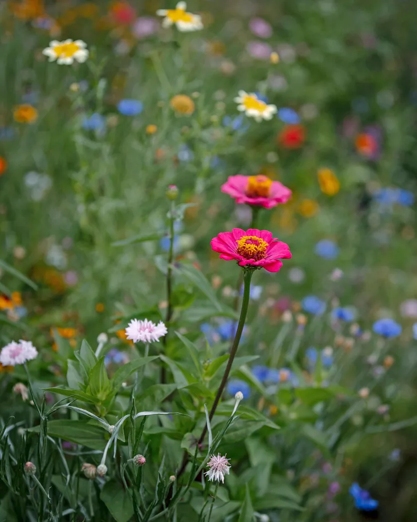 What To Do In Your Garden This Spring | Home Beautiful