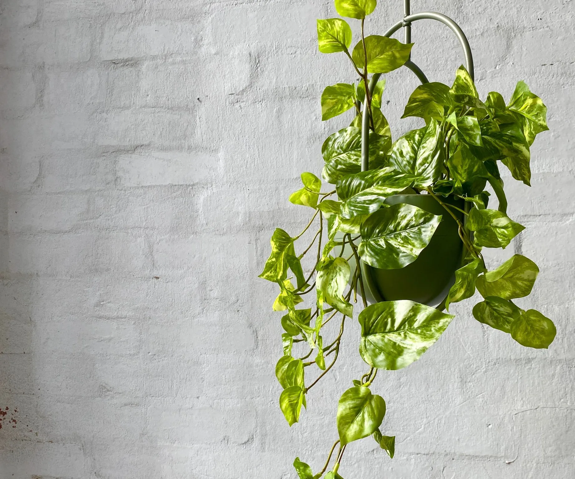 The Best Fake Plants That Look Real 2024