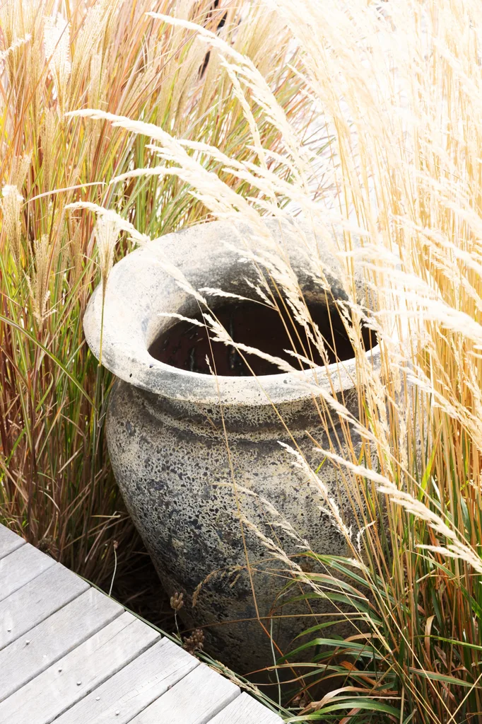 Explore The Untamed Charm Of This Tim Pilgrim Garden | Home Beautiful