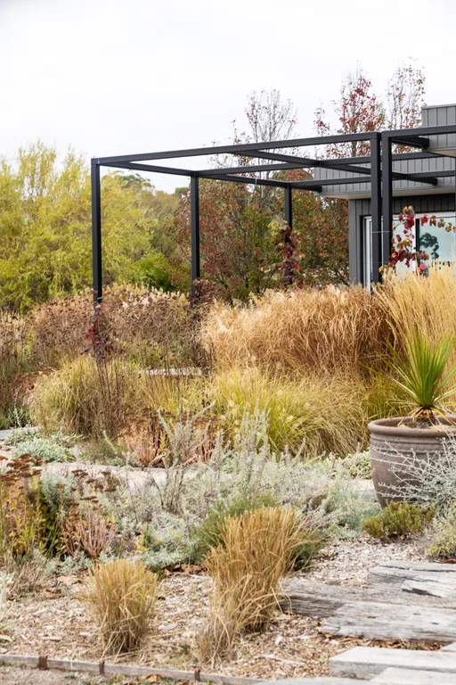 Explore The Untamed Charm Of This Tim Pilgrim Garden | Home Beautiful