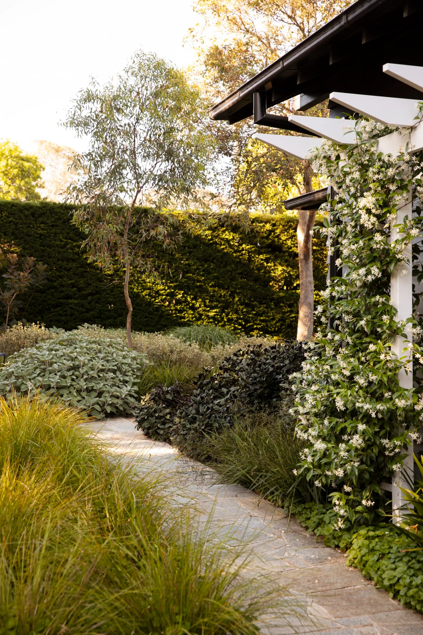 A contemporary native garden in Melbourne | Home Beautiful