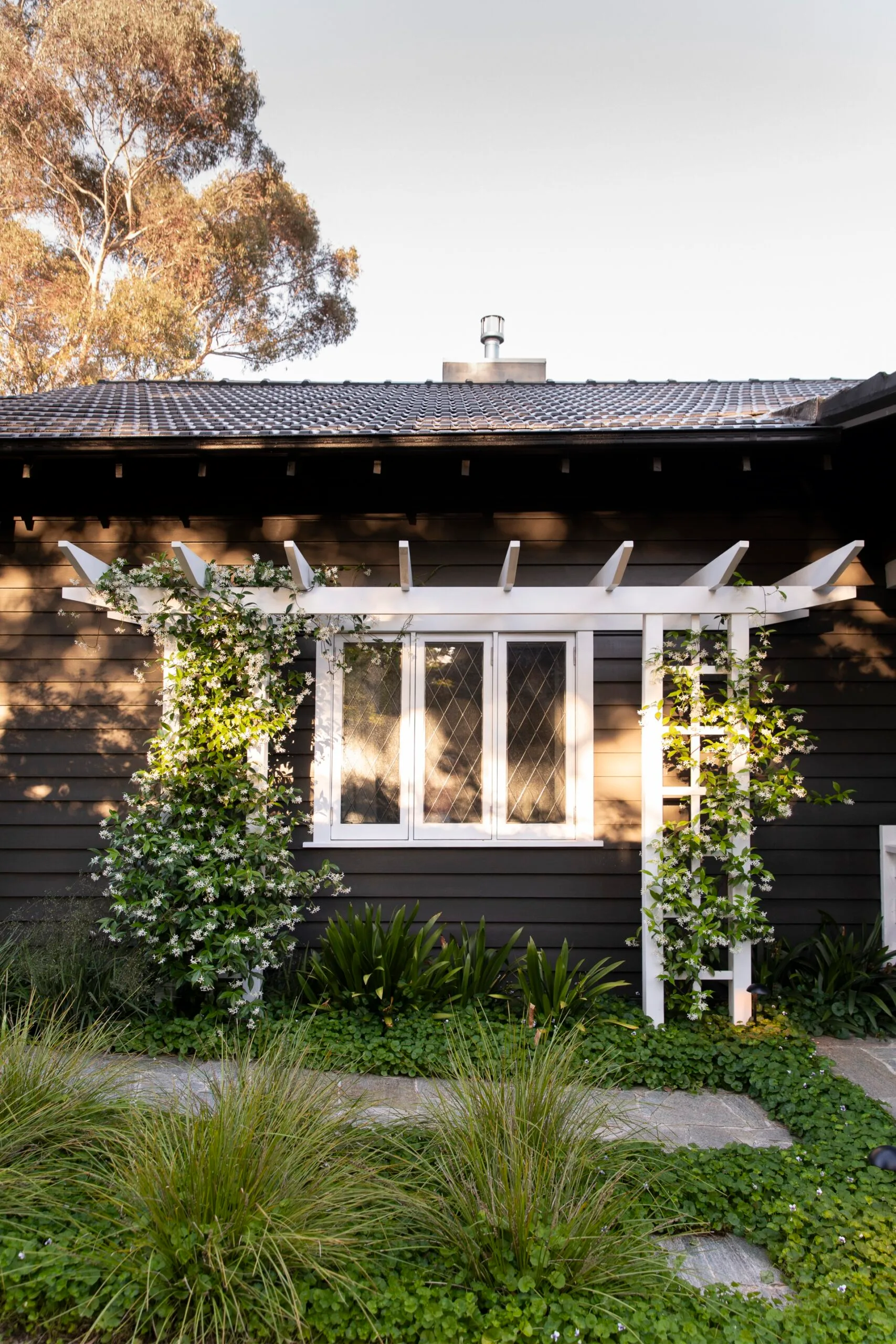A contemporary native garden in Melbourne | Home Beautiful