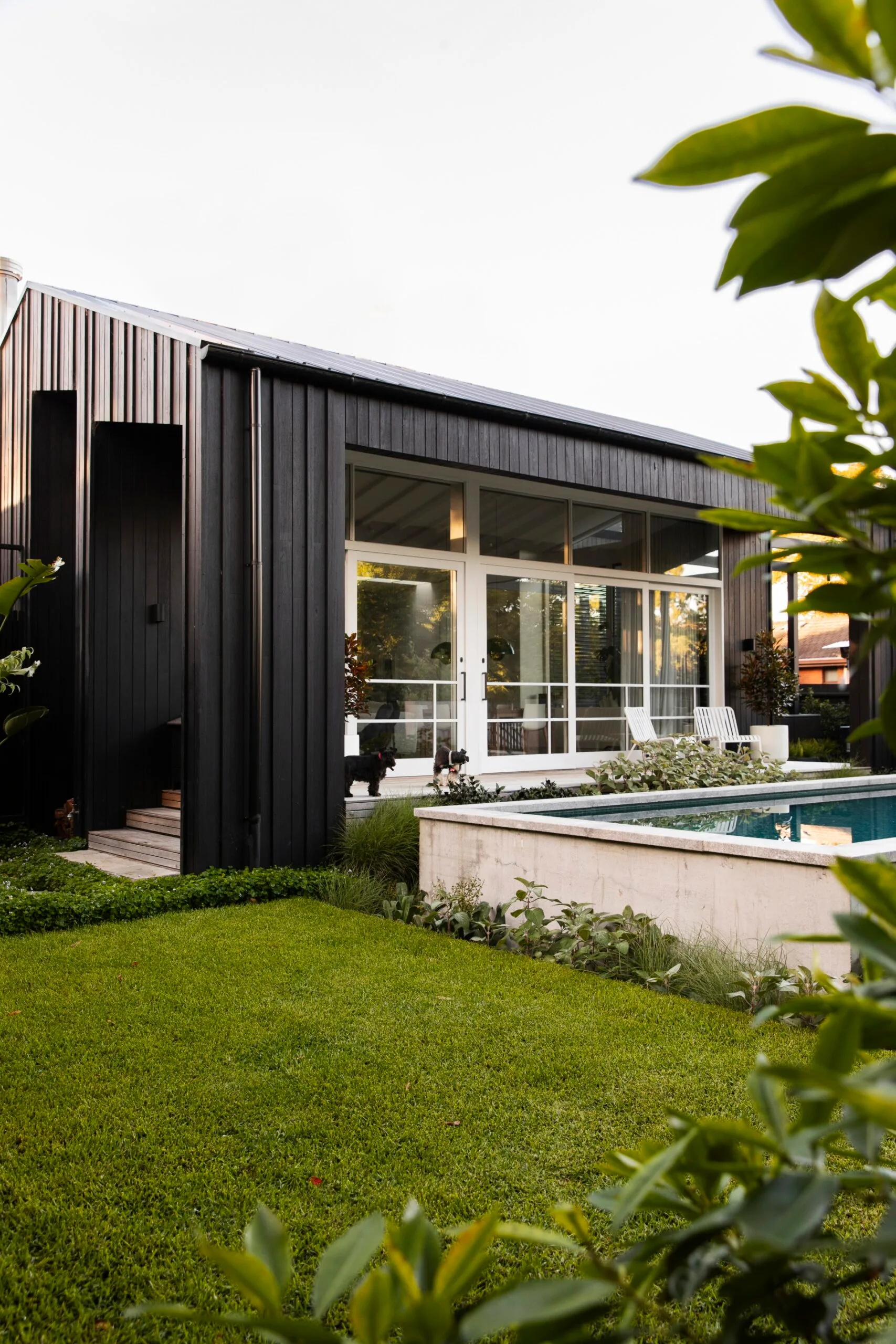 A contemporary native garden in Melbourne | Home Beautiful