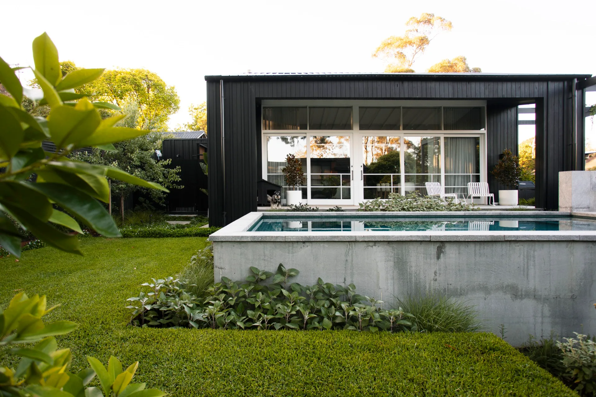 A contemporary native garden in Melbourne | Home Beautiful