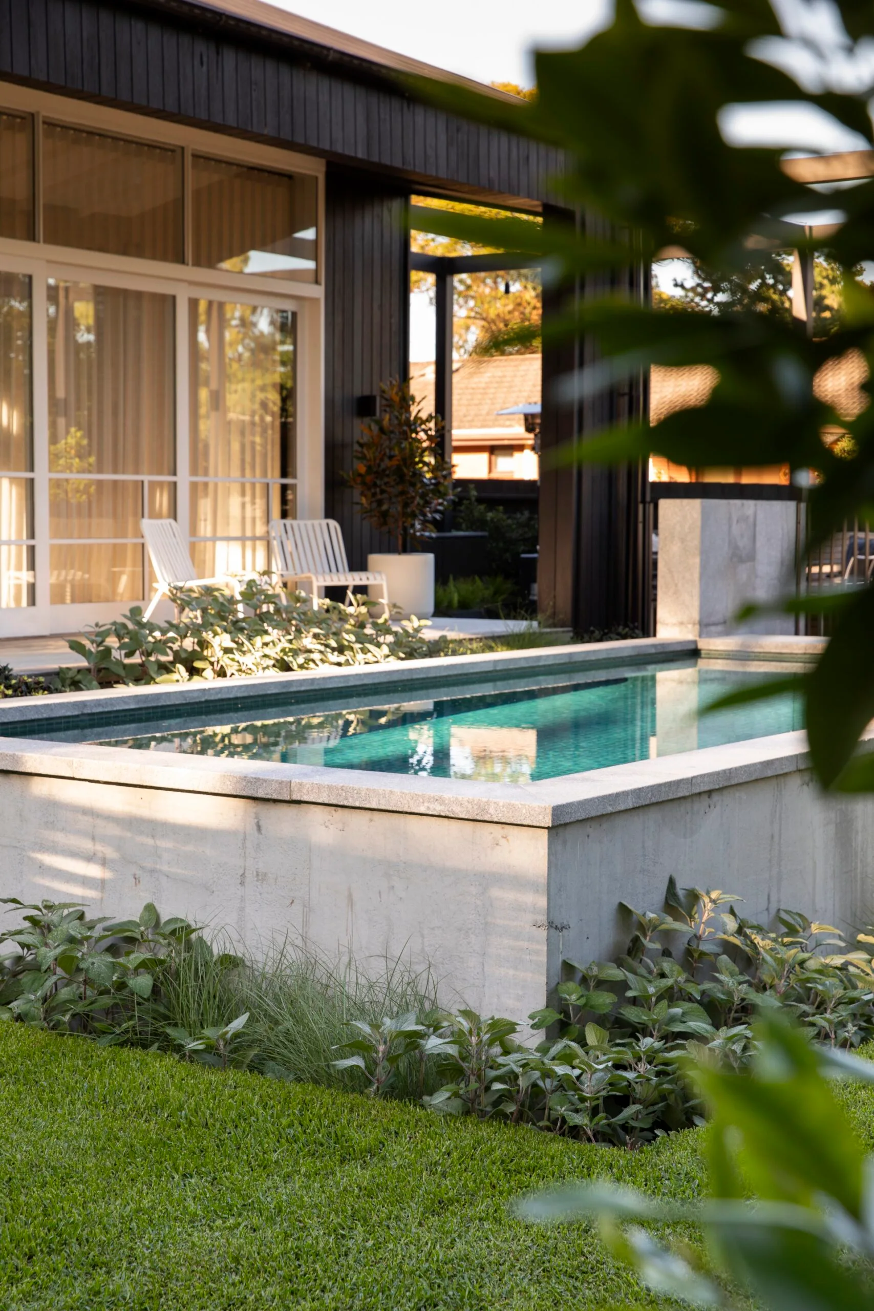 A contemporary native garden in Melbourne | Home Beautiful