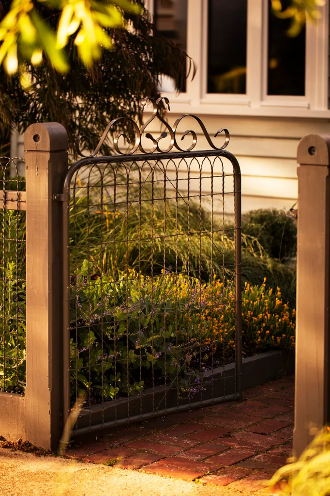 How to grow a wild, whimsical cottage garden in a small city block ...