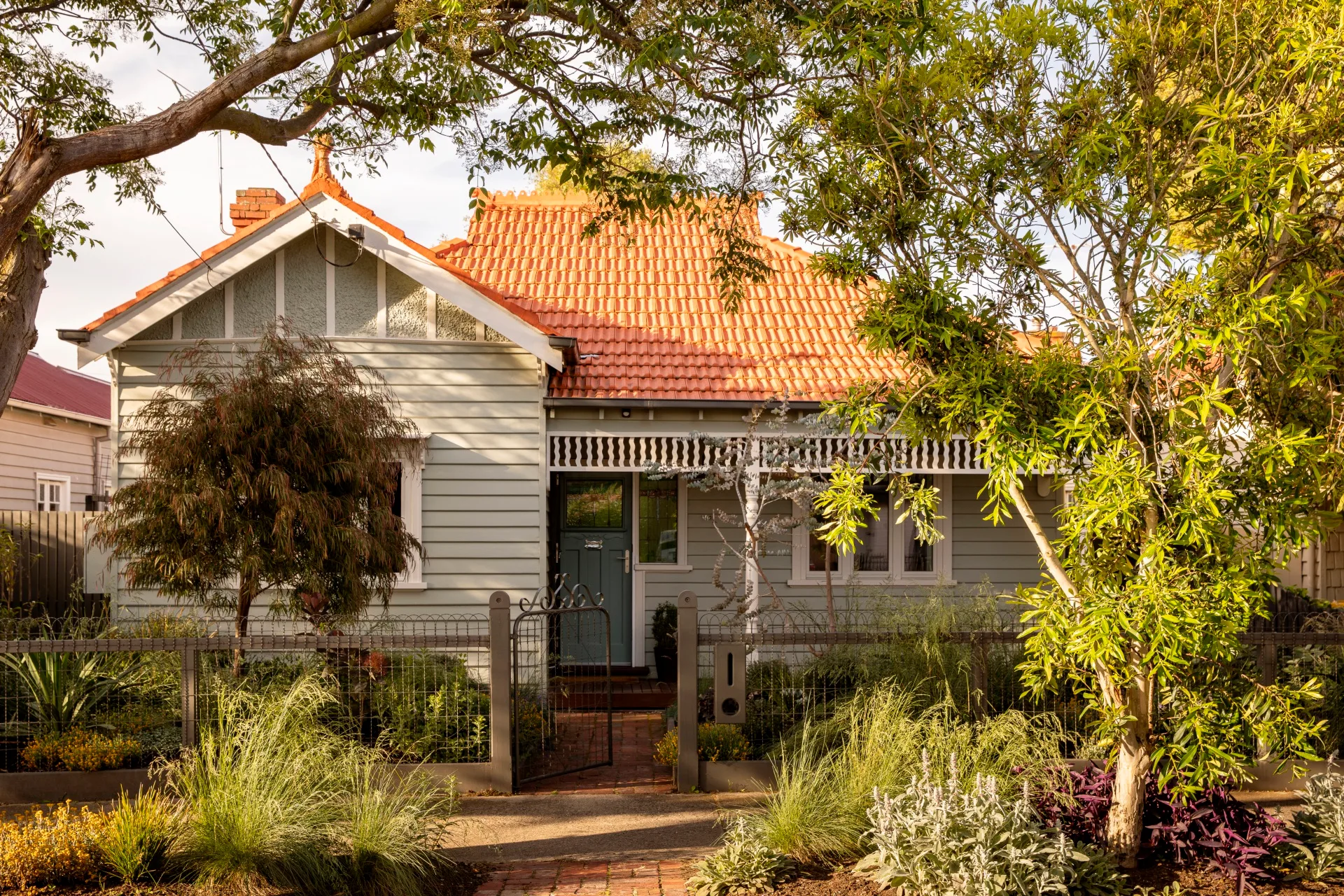 How to grow a wild and whimsical cottage garden in an Australian city ...