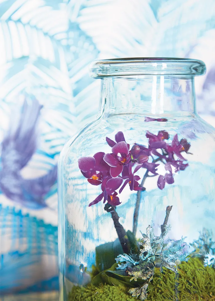 How to make an orchid terrarium | Home Beautiful