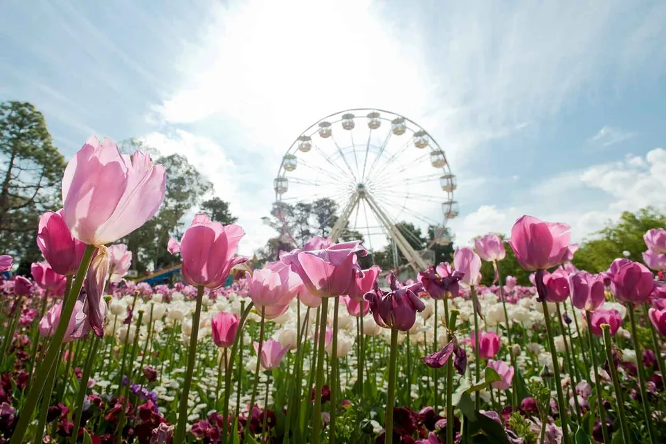 Floriade opens its gates this weekend | Home Beautiful