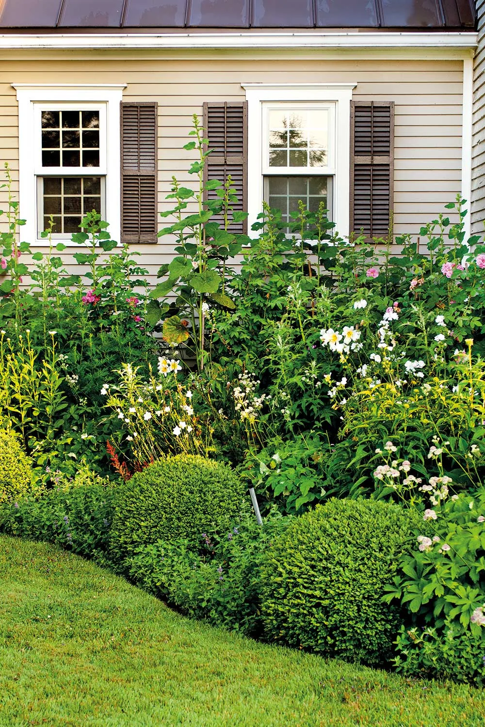 7 old-fashioned flowering plants you need in your garden