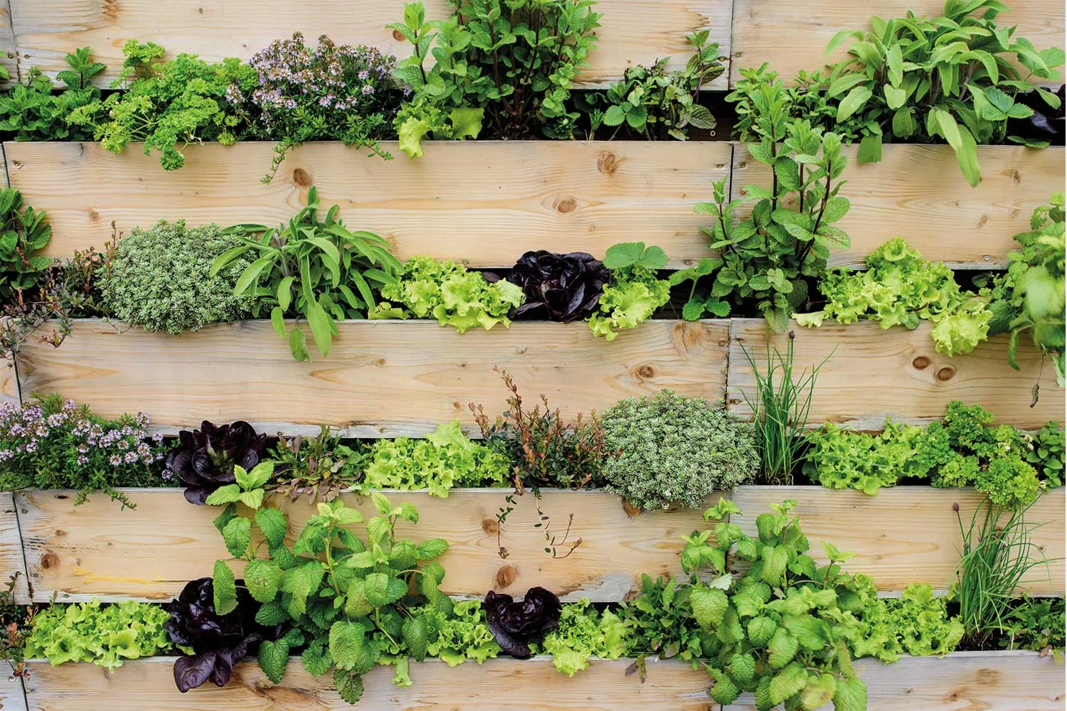 How to create an instagrammable garden wall | Home Beautiful