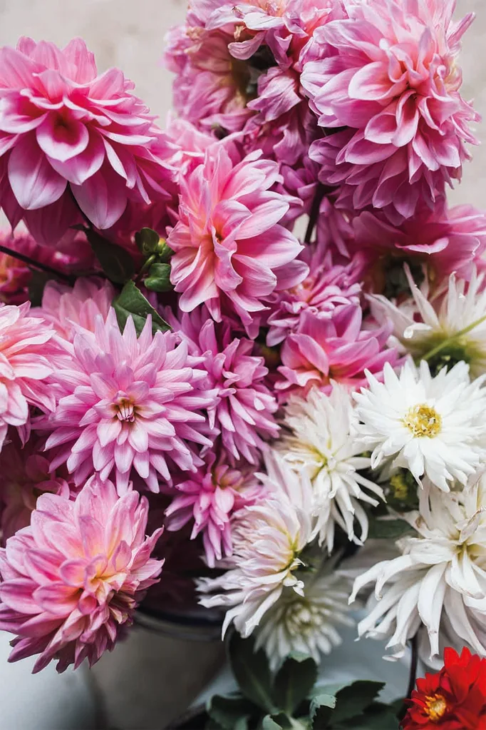 How to Arrange Flowers Like a Florist in Your Home