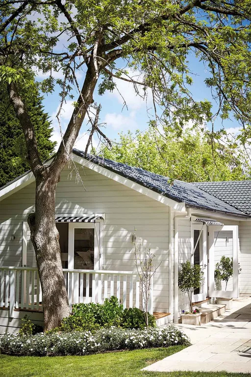 How to Find the Perfect Tree to Suit Your Space
