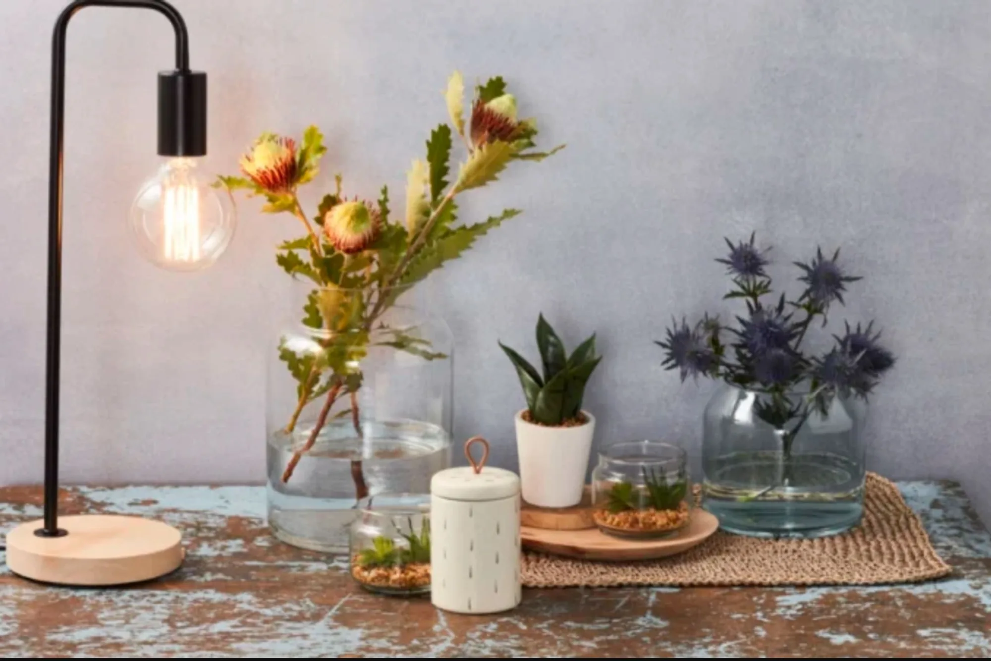 Coles launches stunning new homewares range | Home Beautiful