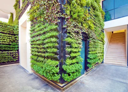 5 Reasons Every Home Needs a Beautiful Green Wall