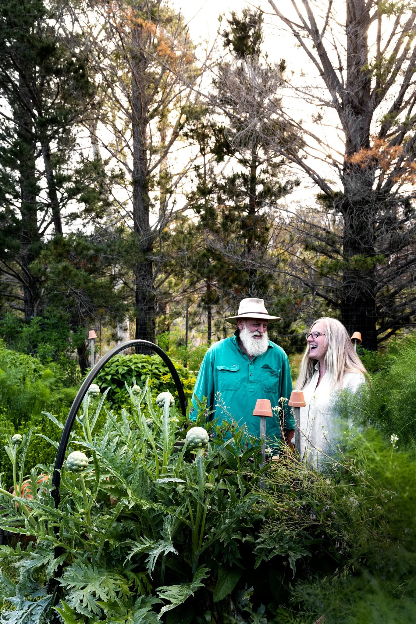 A Bucolic Off-Grid Cottage Garden in the Tablelands