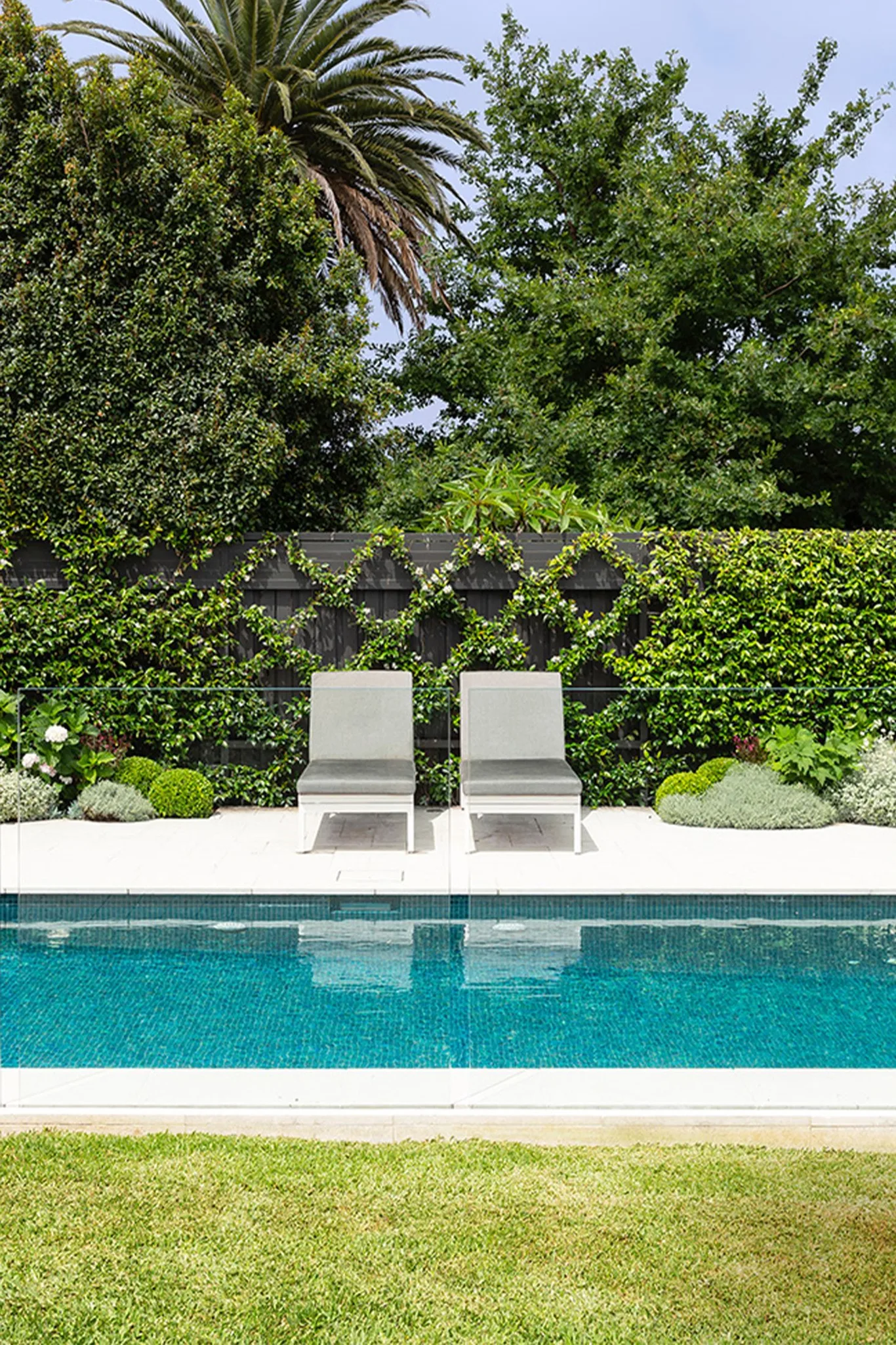 Garden reimagined as a poolside oasis