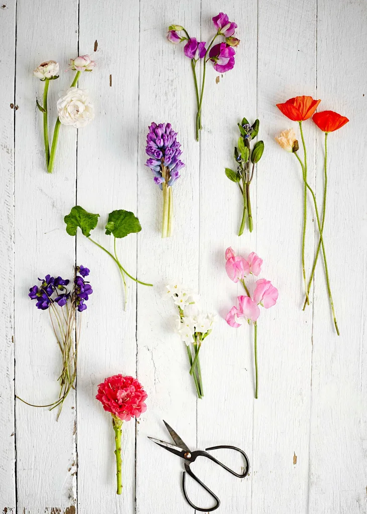 Spring splendour: Flower inspiration | Home Beautiful