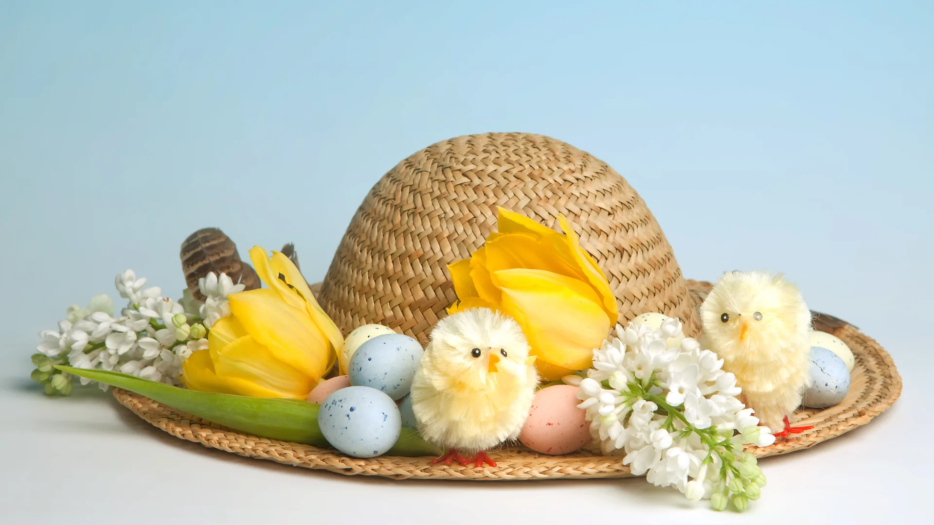 Easter crafts for the whole family | AWW