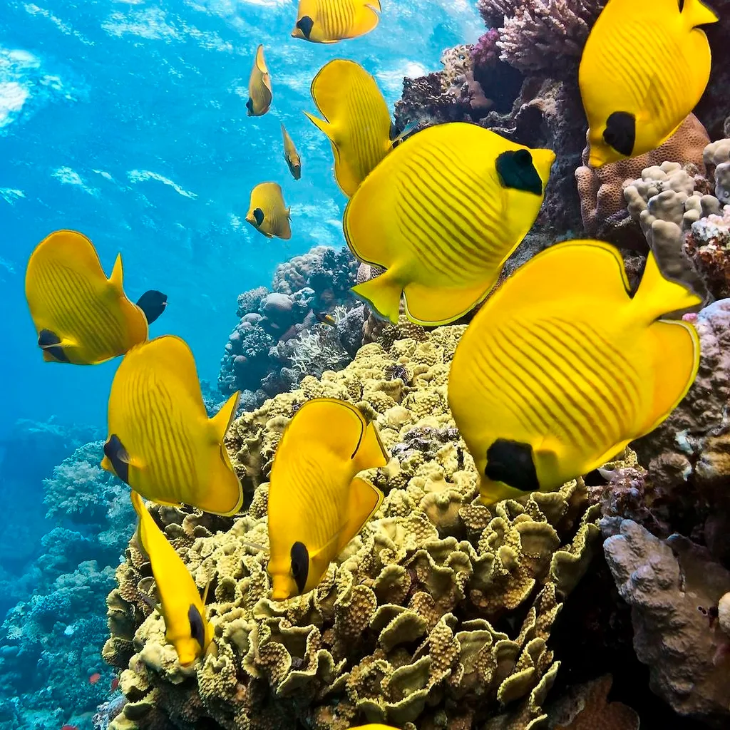 Top Travel Tips for an Amazing Fiji Adventure